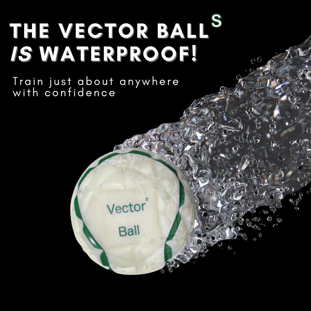 Vector Ball: Revolutionary Cognitive Vision Training Tool