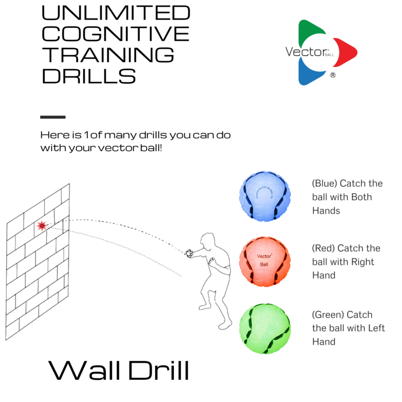 Vector Ball - Cognitive Vision Training